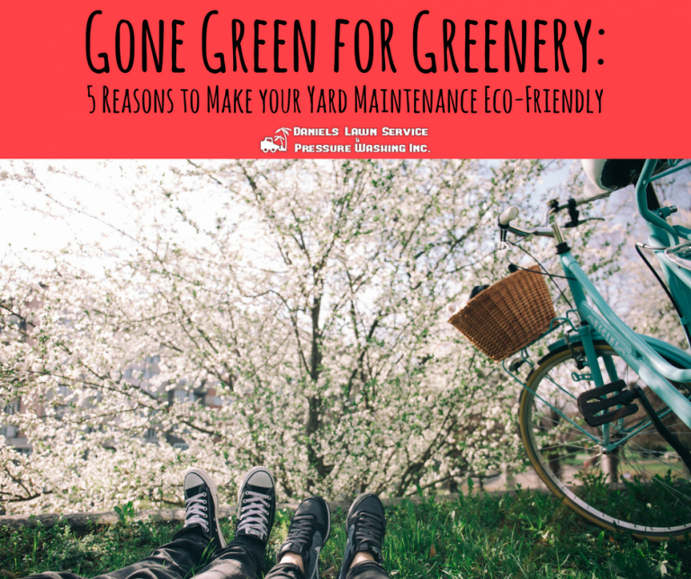 Gone Green for Greenery: Make your Yard Maintenance Eco-Friendly ...