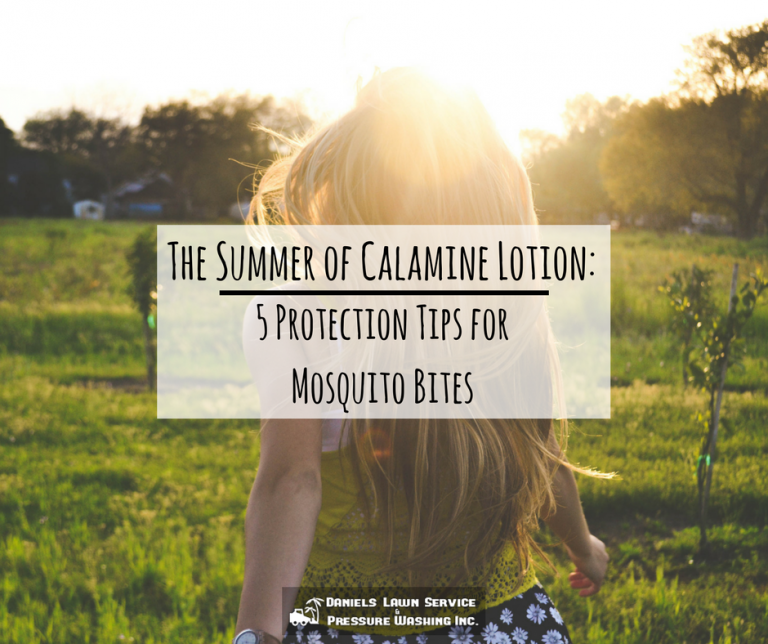 The Summer of Calamine Lotion_ 5 Protection Tips for Mosquito Bites ...